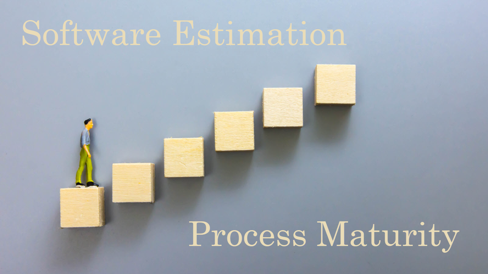Software Estimation Process Maturity is Relative | QSM
